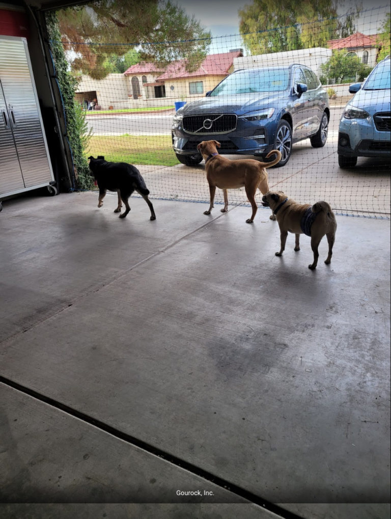 Dog Containment Netting - Customer Photo and Feedback - Custom Netting ...