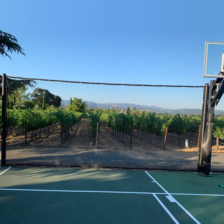 Pickleball Netting: Optimize Your Sport Court Experience - Custom ...
