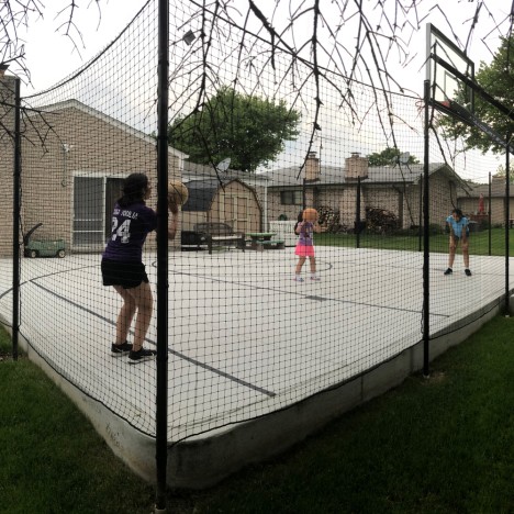 Ball Court Containment Nets, Ball Containment Netting, Backyard Ball ...